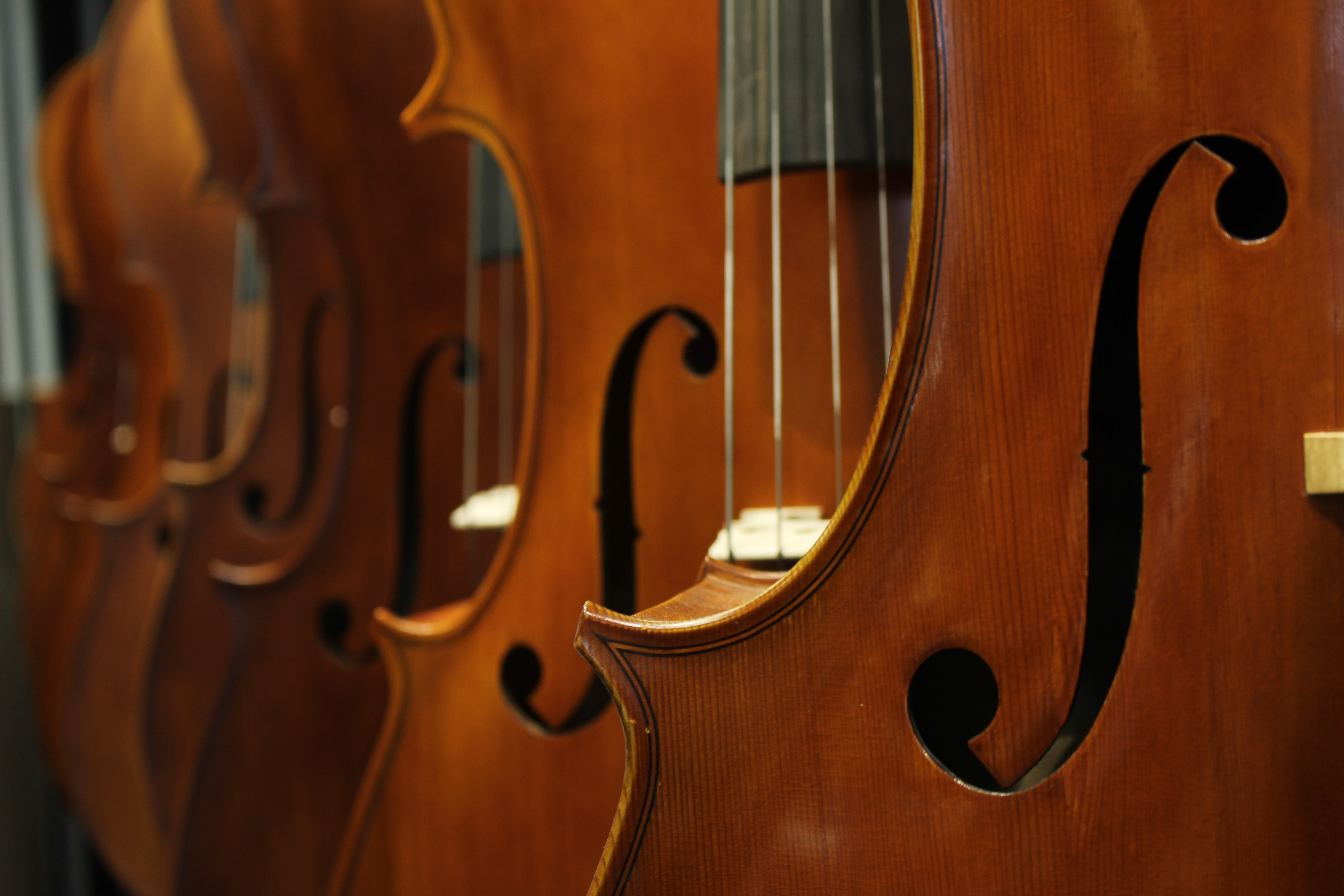 The Story of the Small Big String Instrument, AKA the Cello | WETA