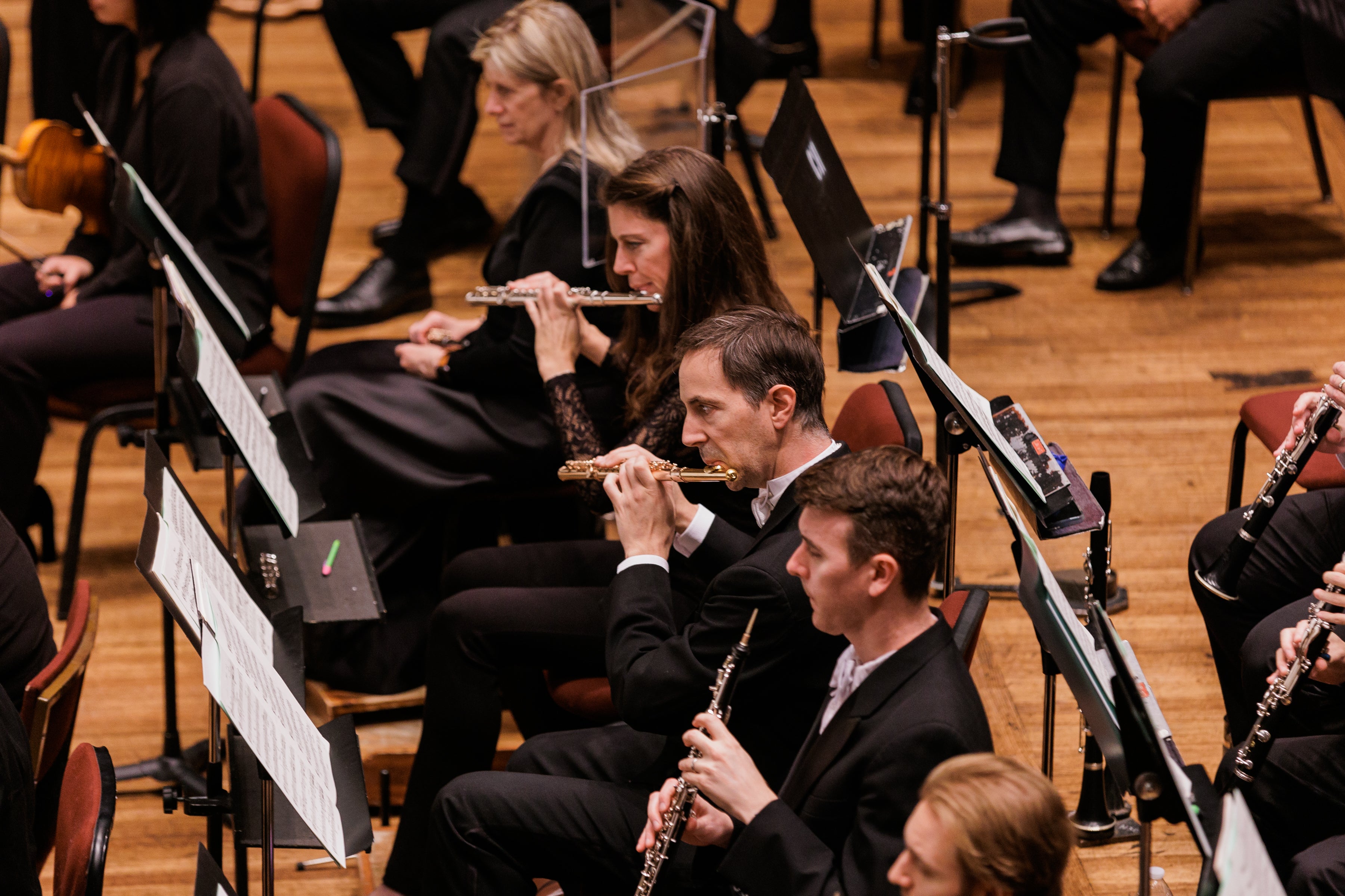 Classical Breakdown at 100: A Celebration of NSO Musicians | WETA