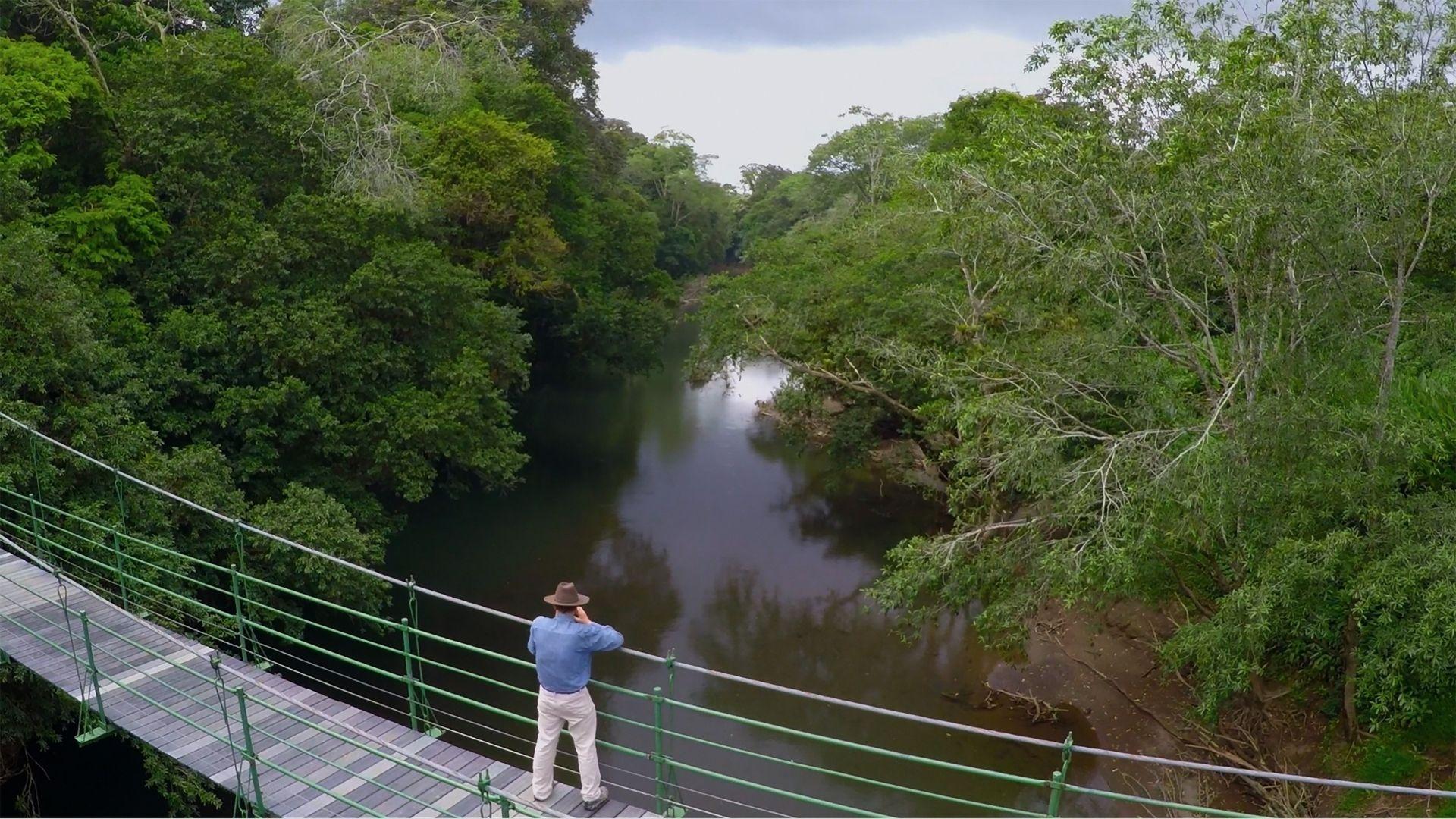 Costa Rica: Laboratory of the Biosphere | WETA