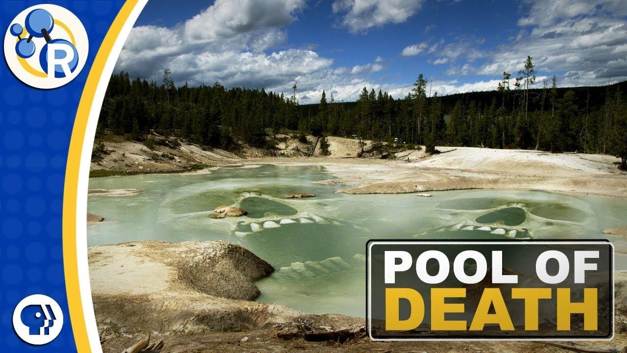 Yellowstone and Their Steaming Acid Pools of Death | WETA