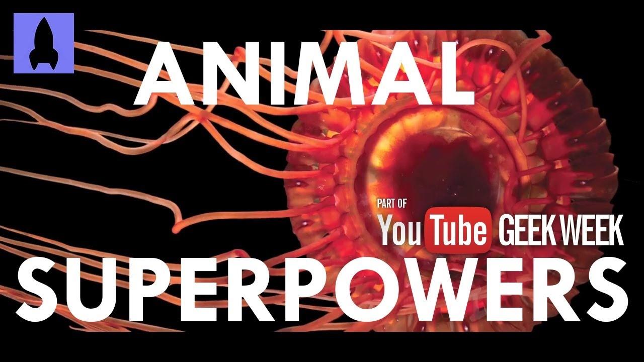 Nature's Most Amazing Animal Superpowers | WETA