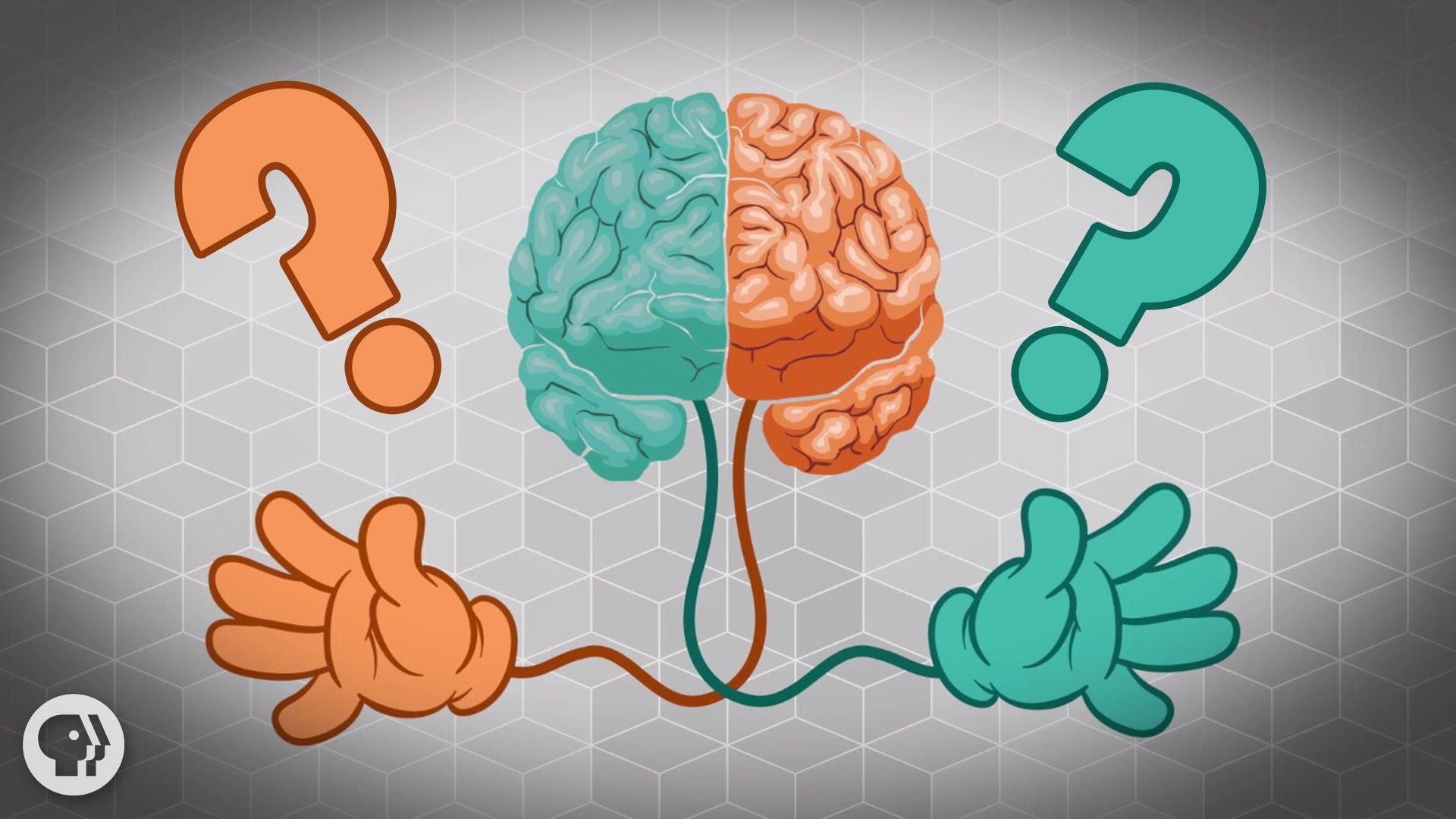 Why Are Some People Left-Handed? | WETA