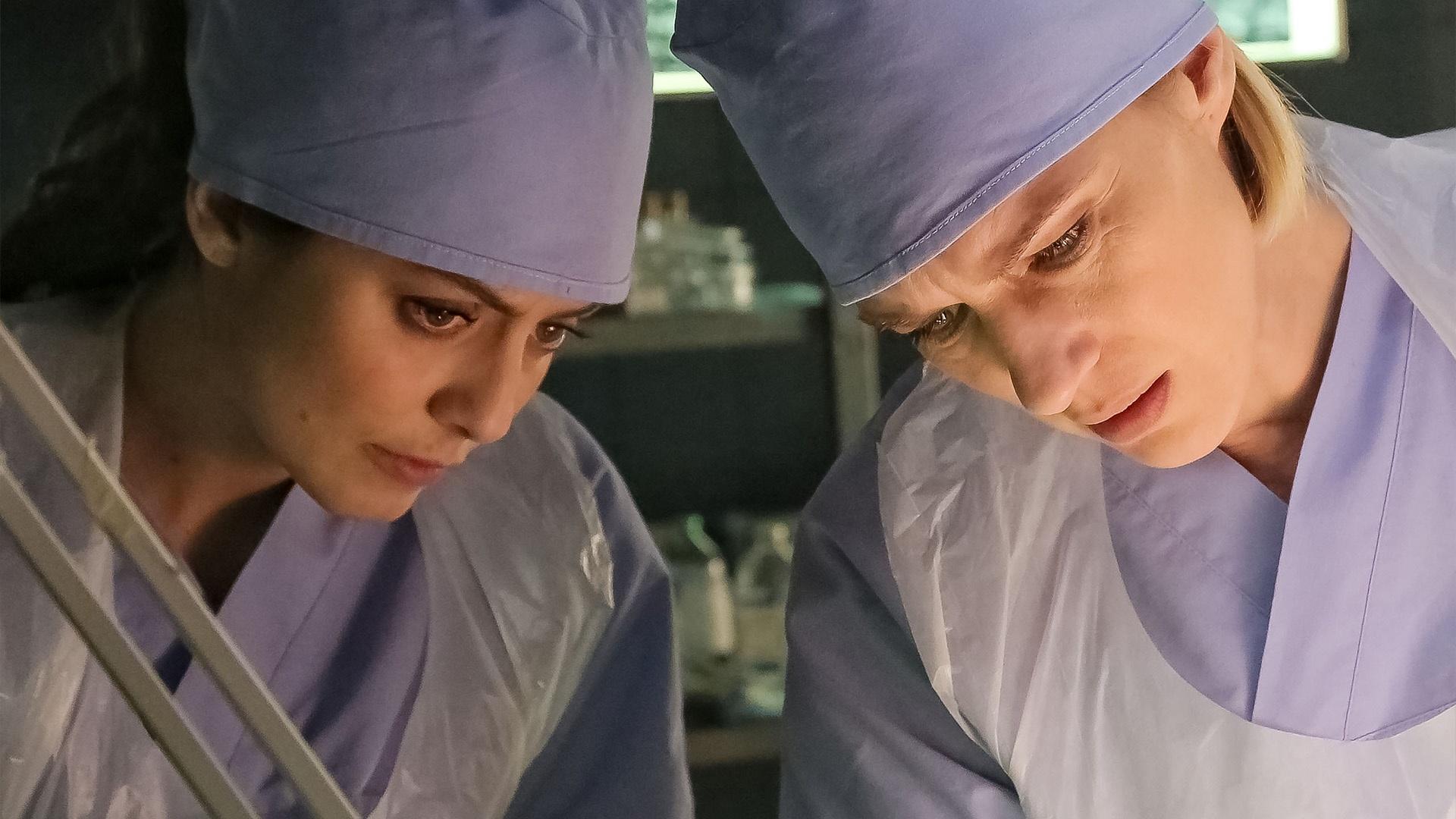 The Good Apprentice | WETA