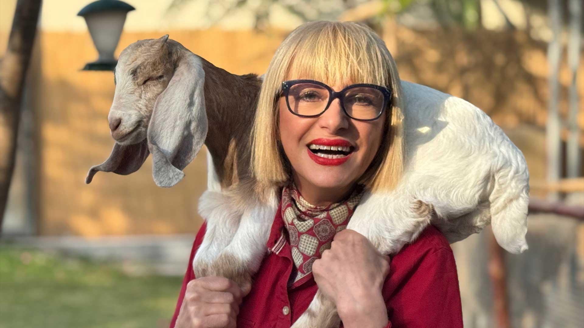 It’s All Green | WETA