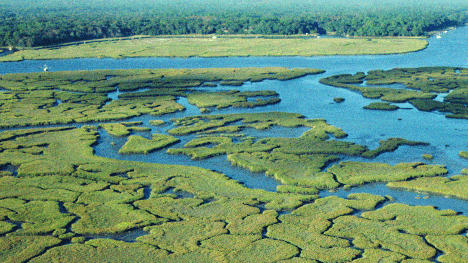 Algae Explosion Trailer | WETA