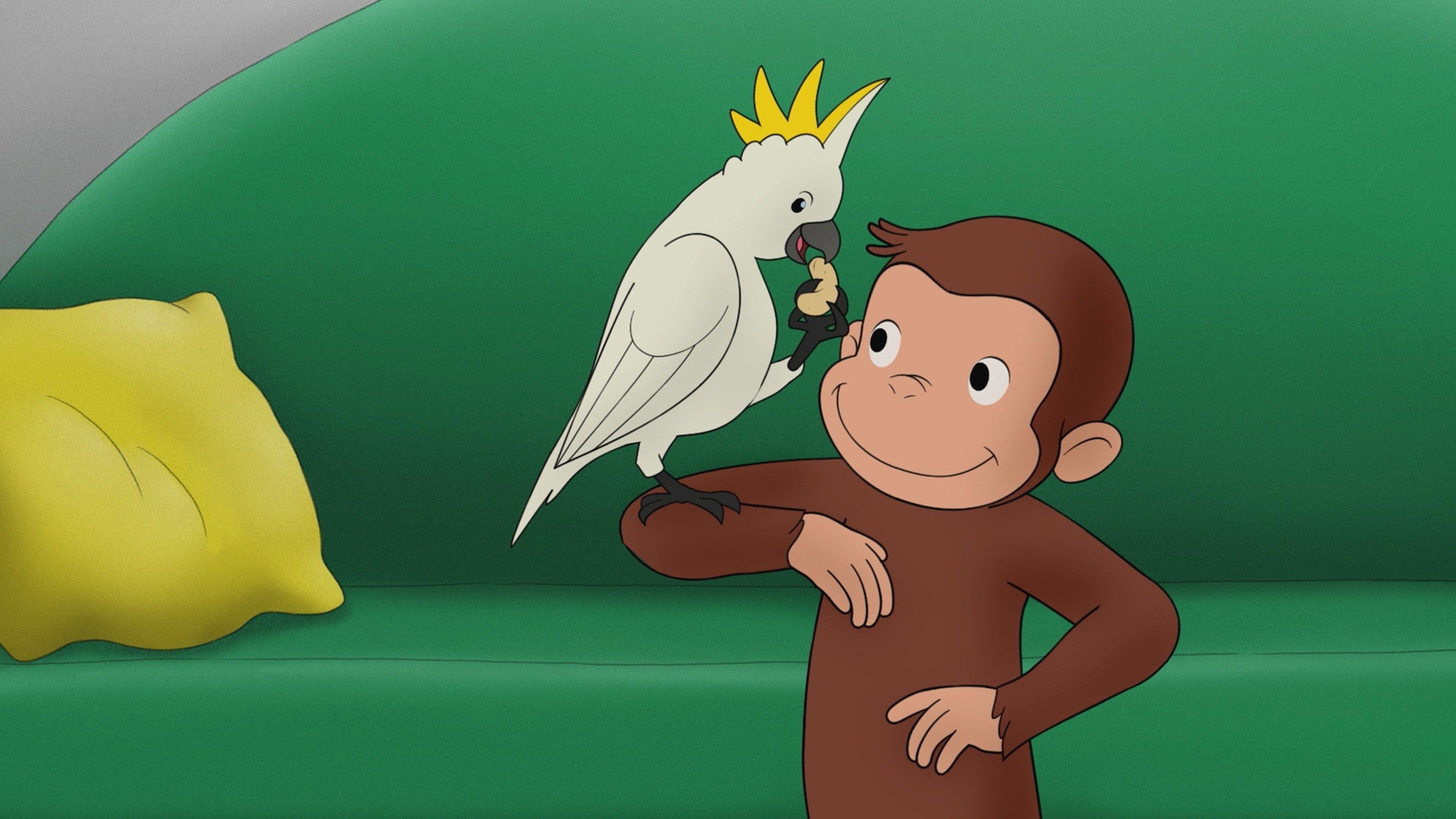 Curious George Compass