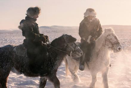 Equus "Story of the Horse" | Episode 1: Origins | WETA